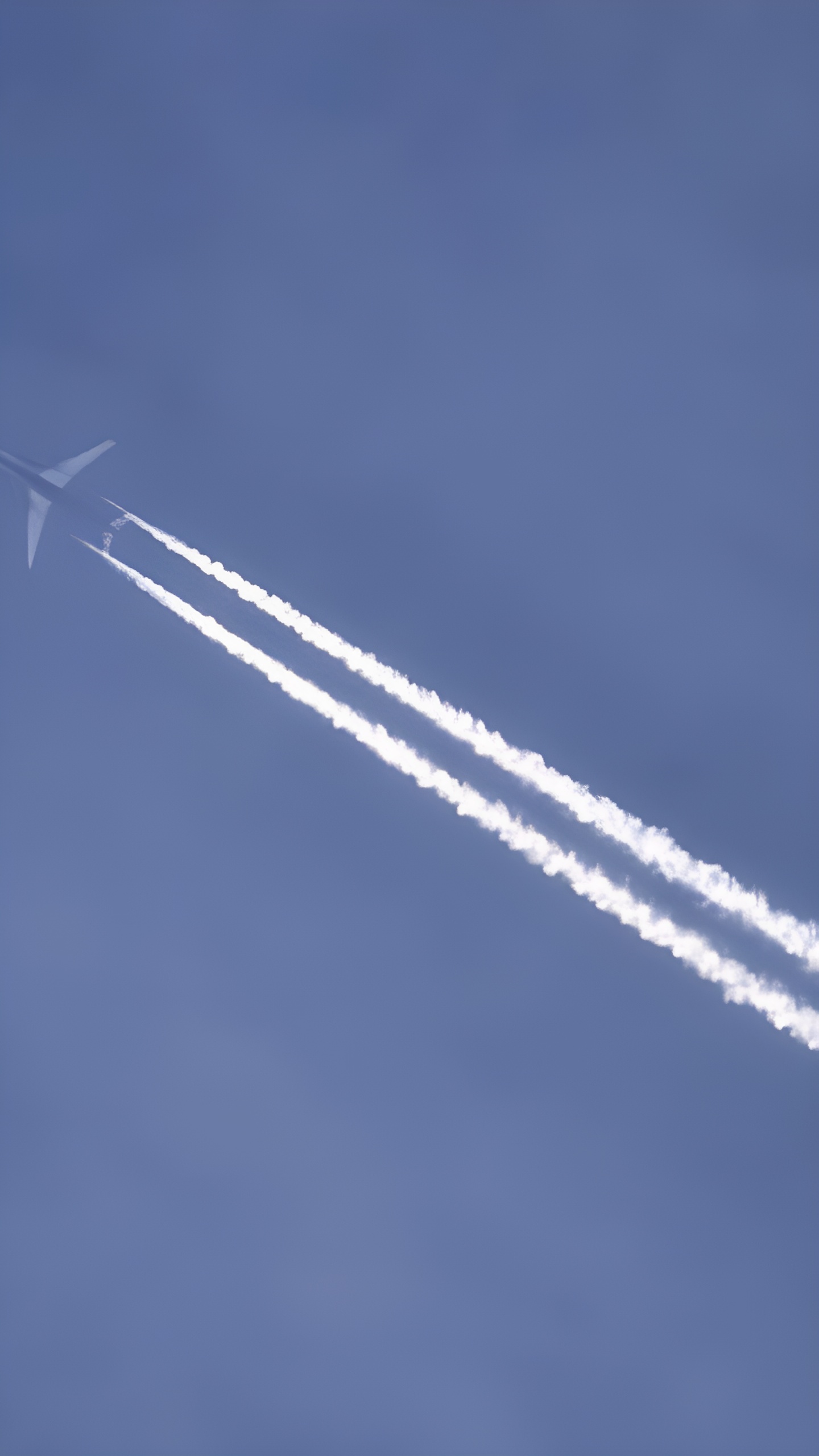 Georgian Airways запускает рейсы из Новосибирска в Тбили | Tek.fm